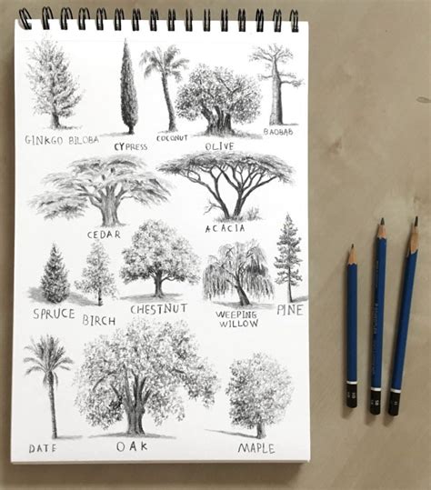 Image result for How to Draw Realisim Tutorial