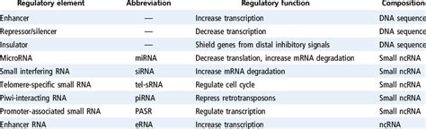 Image result for Distal Control Elements