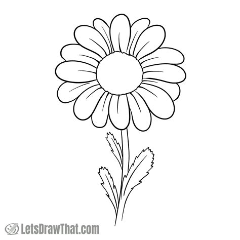 Image result for Daisy Tutorial