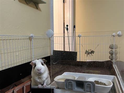 Image result for Hay Box Programmer Not Responding