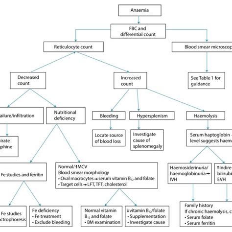 Image result for TFT Algorithm