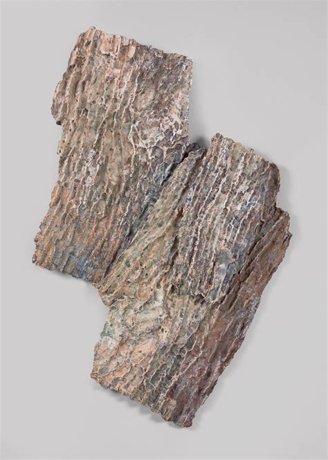 Image result for Cast Paper