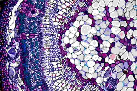 Image result for Optical Spectroscopy