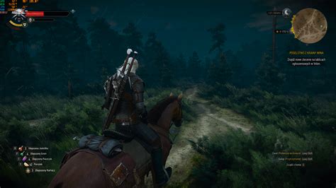 Image result for Witcher 3 Reworked FPS