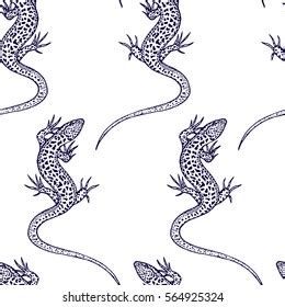 Image result for Simple Line Drawings Lizard