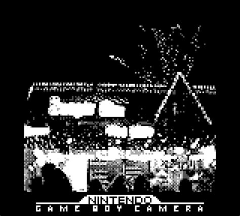 Image result for Cartoon Network 1998 Gameboy Camera