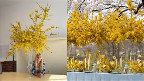 Image result for Rocking Over Centre Spring