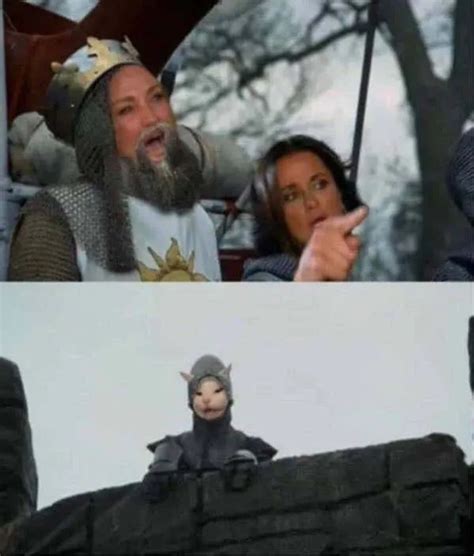 Image result for Monty Python Holy Grail Meme