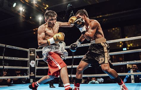 Image result for Boxing MC