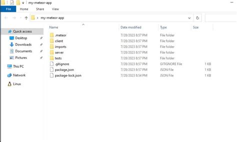 Image result for Meteor for Windows Install