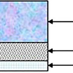 Image result for Physical Model Science Definition