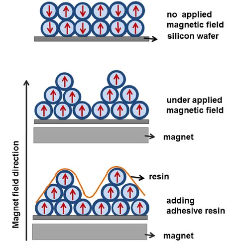 Image result for Multi-Directional Magnetic Particle