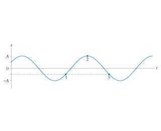 Image result for Position Vs. Time Graph SHM