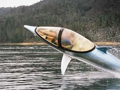 Image result for Deep Ocean Mini Sub