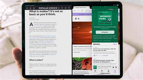Image result for Split Screen View