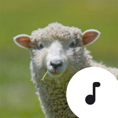 Image result for Sheep Sound Effect
