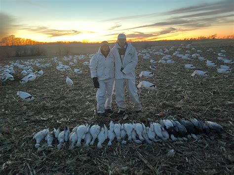 Image result for Goose Hunts