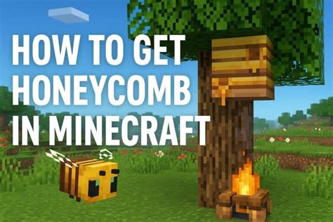 Image result for How to See Chunks in Minecraft Java