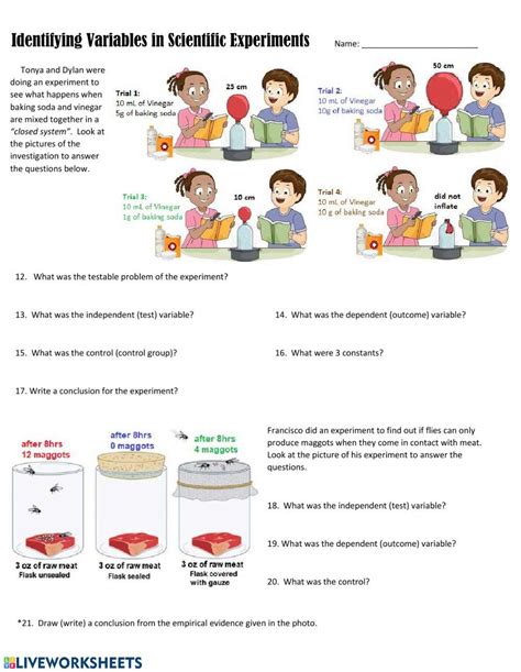 Image result for Variables Practice Answer Worksheet