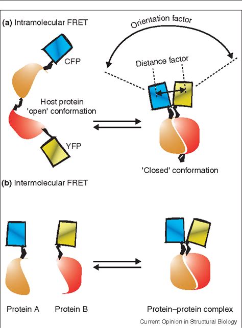 Image result for Protein Interactions Simulating Software