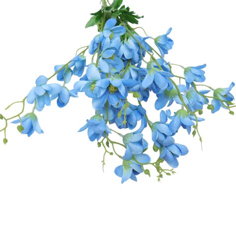 Image result for Spring Flower 330