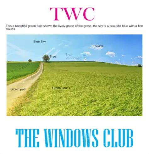 Image result for How to Automatically Fill Out PDF