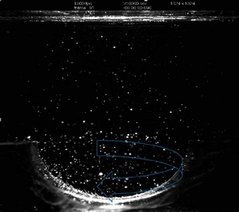 Image result for Vortex Field