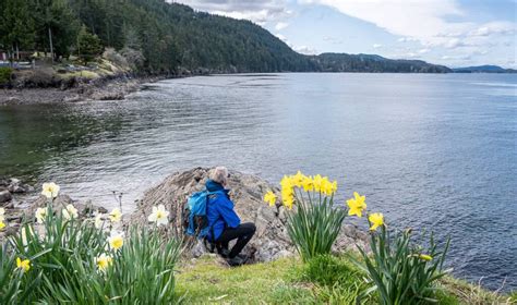 Image result for Salt Spring Island Travel guide