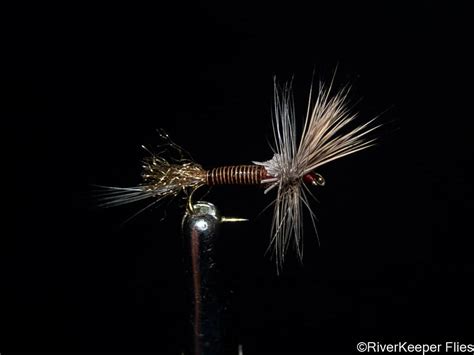 Image result for Red Quill Fly Pattern