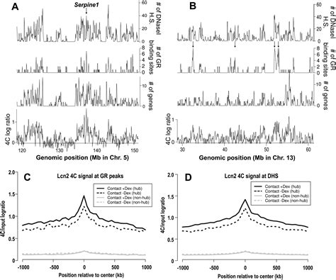 Image result for Gene Reprogramming