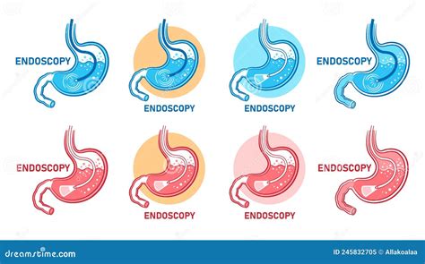 Image result for Endoscopy Small Intestine