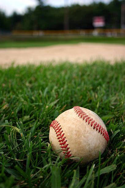 Image result for Hello Spring Baseball