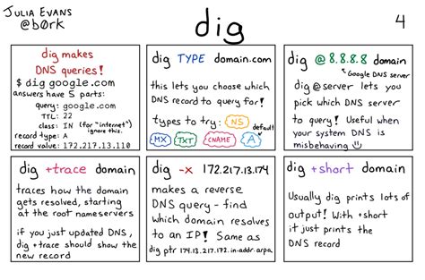 Image result for Dig Script Zav