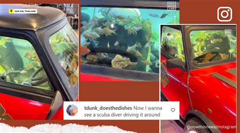 Image result for Mini Cooper Fish Screaming