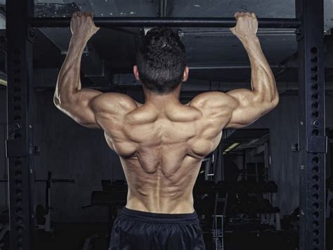 Image result for Strong Back Muscles