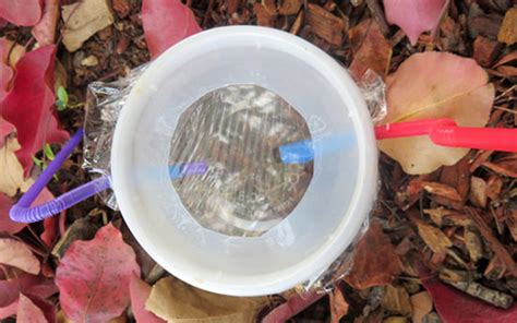 Image result for Biodiversity Science Projects