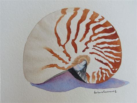 Nautilus Shell Painting at PaintingValley.com | Explore collection of ...