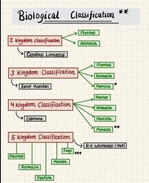 Image result for Biological Classification Emct Lesson Explanation