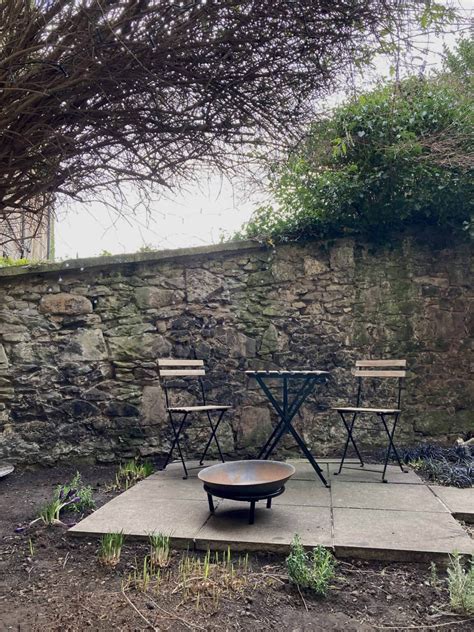 Image result for Spring Yard Clean Up Pruning