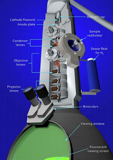 Image result for Tem Microscope Introduction