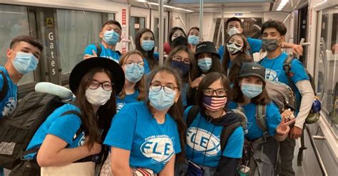 Image result for Flex Program Free