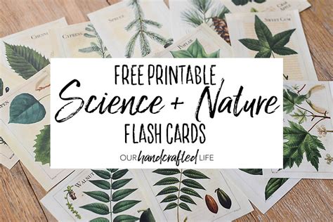Image result for Science Flash Cards Printable