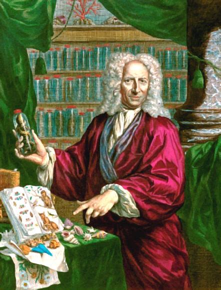 Image result for Seb Seba