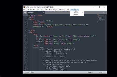 Image result for Sublime Text Configuration HTML