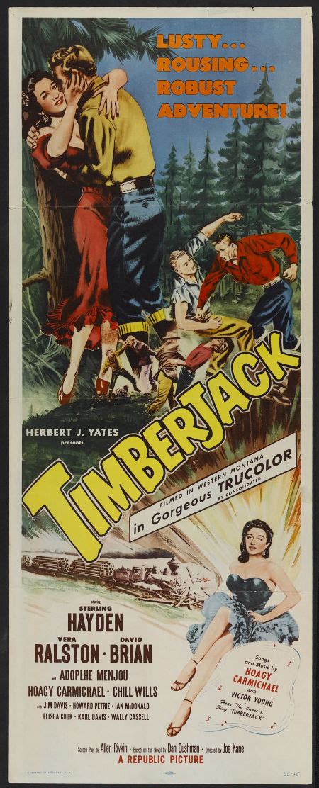 Image result for Timberjack Reviews