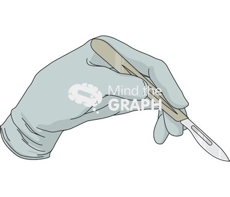 Image result for Dissection Cartoon