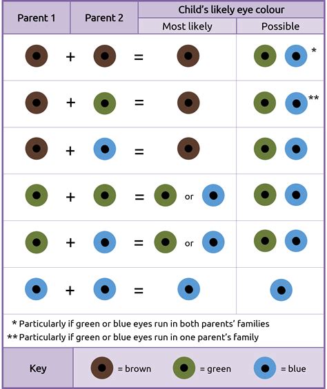Image result for Eye Color Inheritance Chart