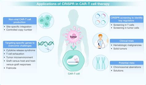 Image result for T-cell Reprogramming