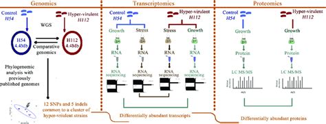 Image result for HyperStudy Design of Experiments
