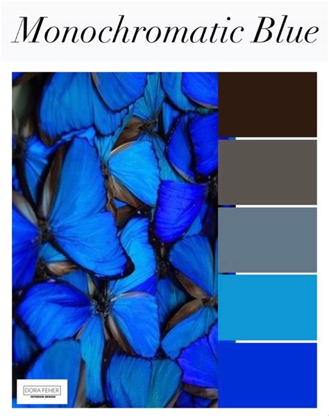 Monochromatic Blue Color Scheme